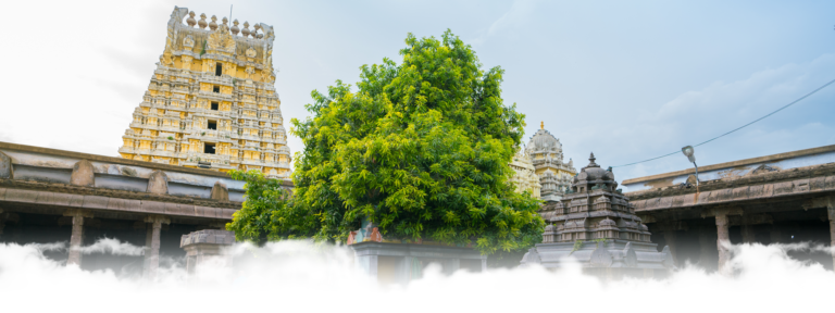 Ekambareswarar Temple : Pancha Bhoota Sthalam